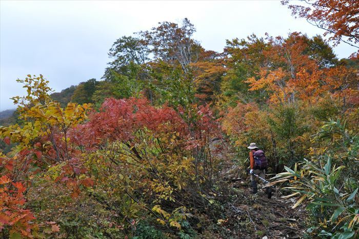 20231018 浅草岳は燃えていました！！: yama365-3